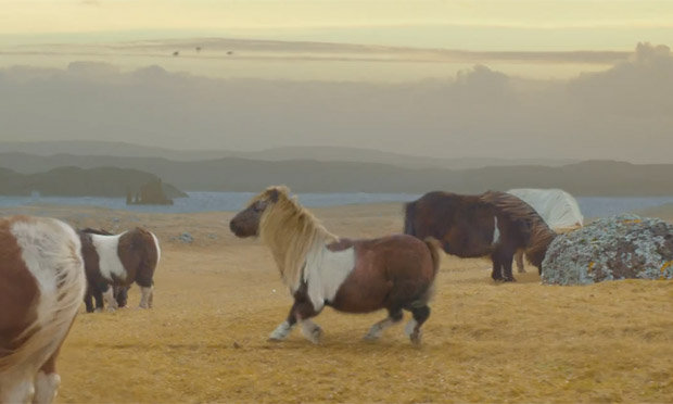 Pony dance advert brings Fleetwood Mac ‘Everywhere’ Back into charts ...